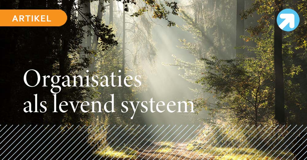 Wat de natuur je kan leren over veranderen - Morgens Conclusion