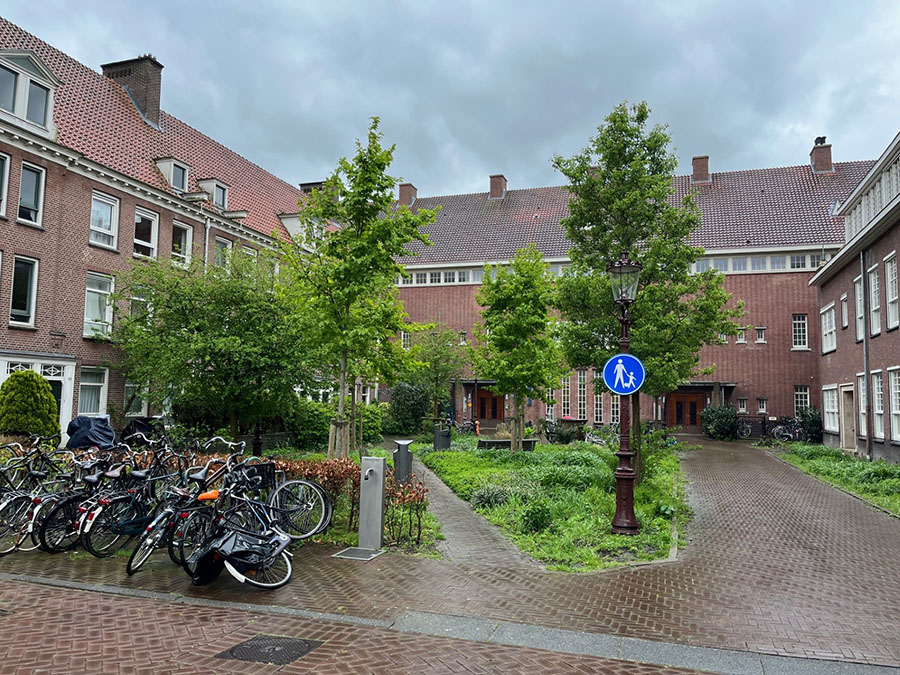 Het succes van woonvoorziening de Kraaipan Oase- Morgens Conclusion